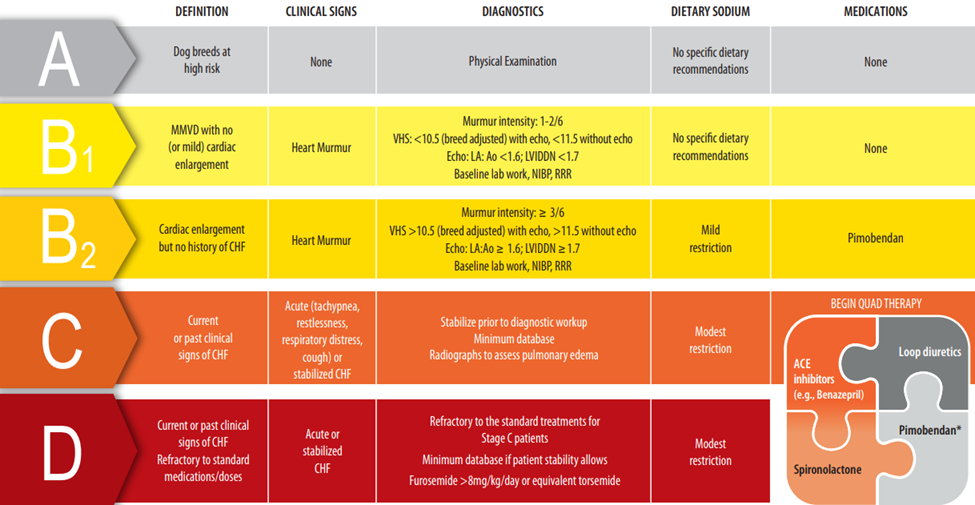  MMVD Stage B2 
